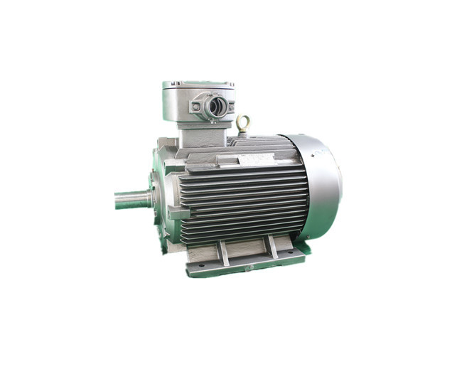 YBX3 200L-4 Động cơ không đồng bộ ba pha 30kW IMB3 Động cơ 3 pha công ...